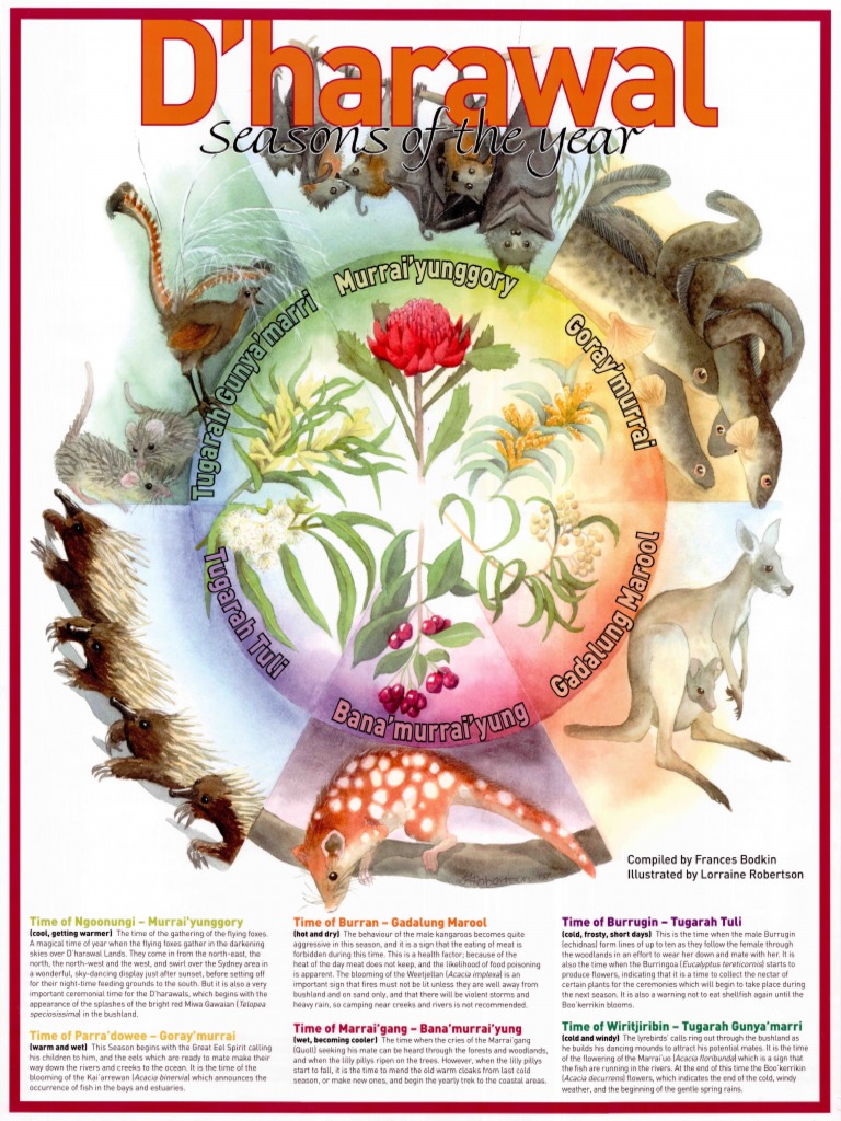 Dharawal Annual Cycle Poster Cropped | PDF