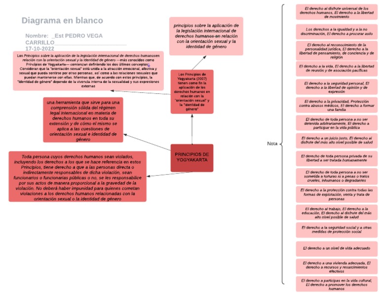 Diagrama en Blanco - Color | PDF | Violación | Derechos humanos