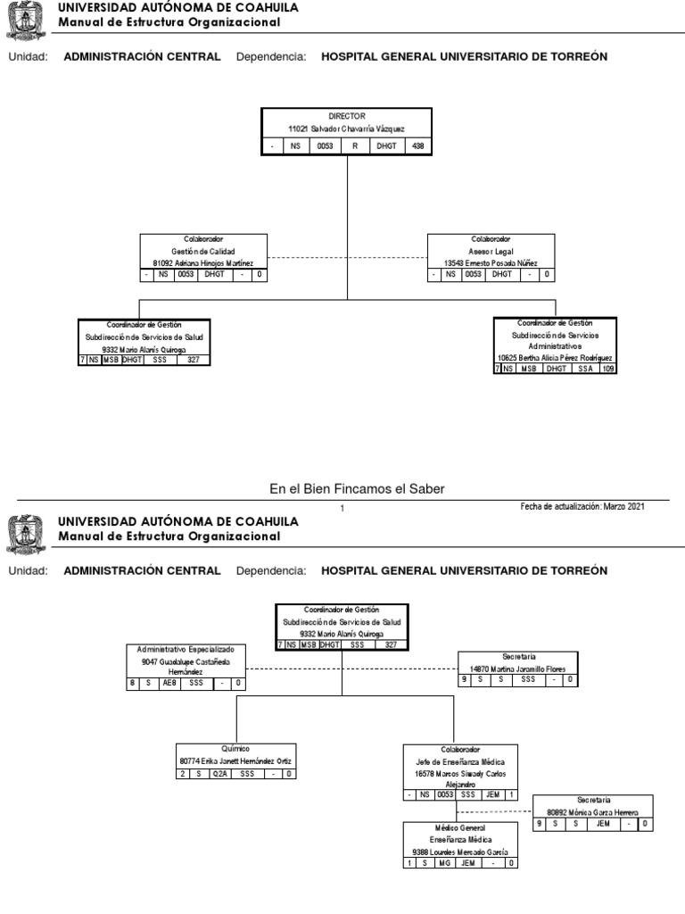 Estructura Organizacional del HUGT | PDF | Cuidado de la salud ...