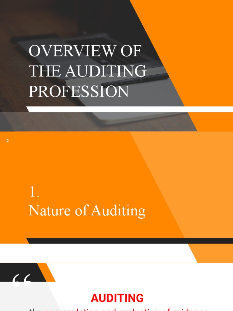 1 Overview of The Auditing Profession | PDF | Audit | Financial Audit