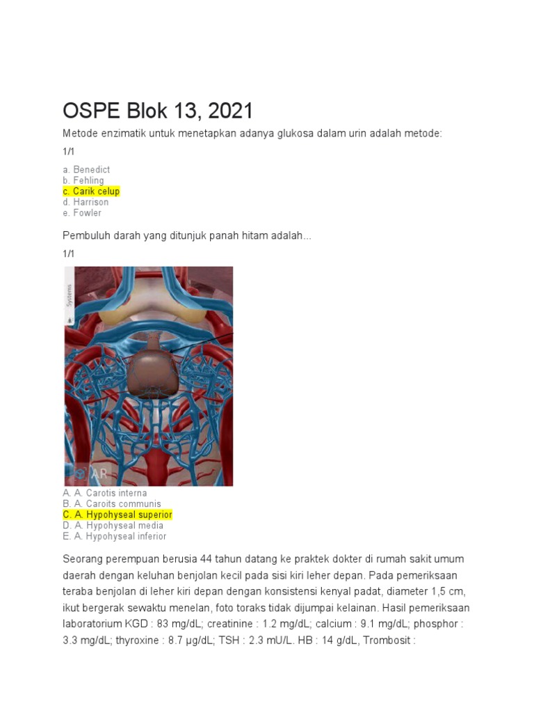 OSPE Blok 13 FIX | PDF