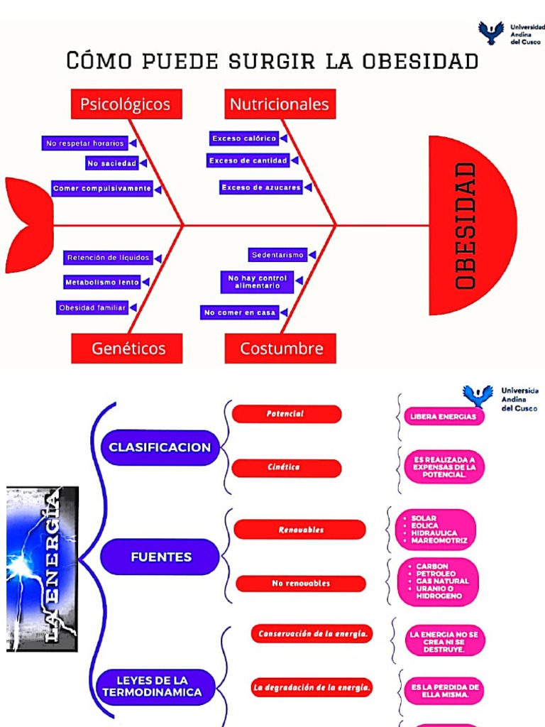 Cuadro Sinoptico y Esquema Del Pescado | PDF