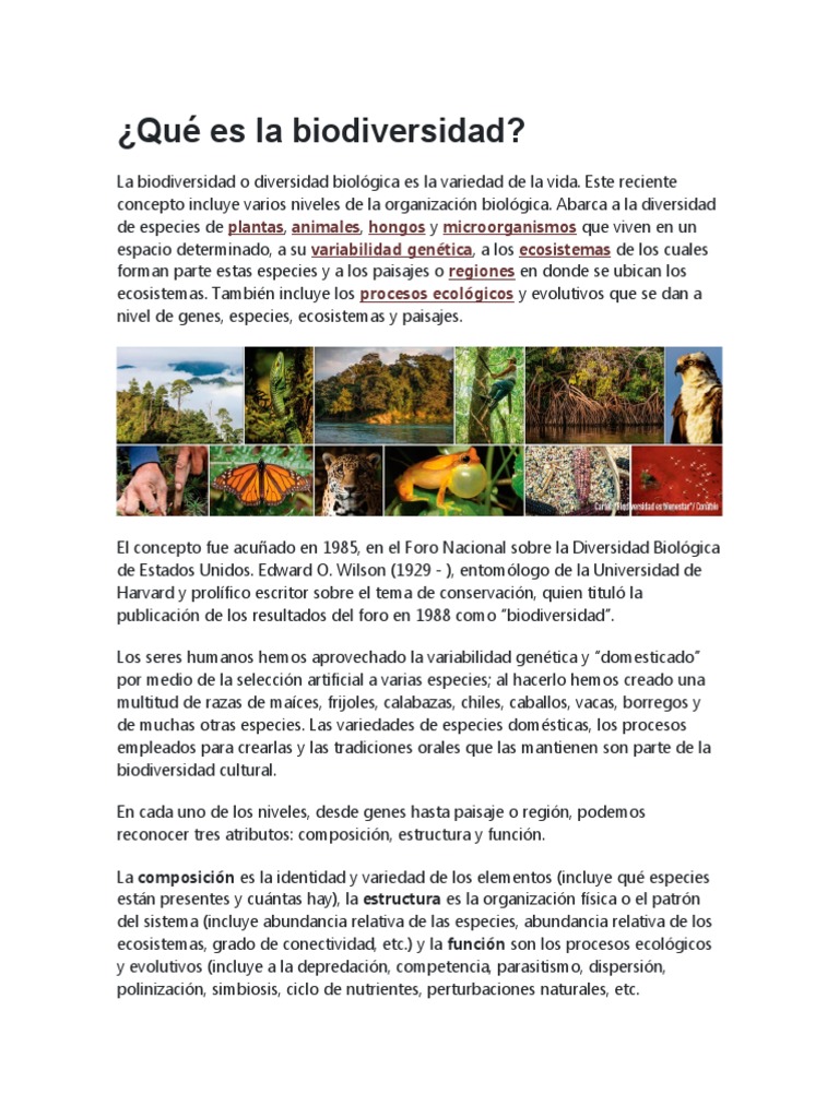 Qué Es La Biodiversidad | PDF | Ciencia y matemáticas