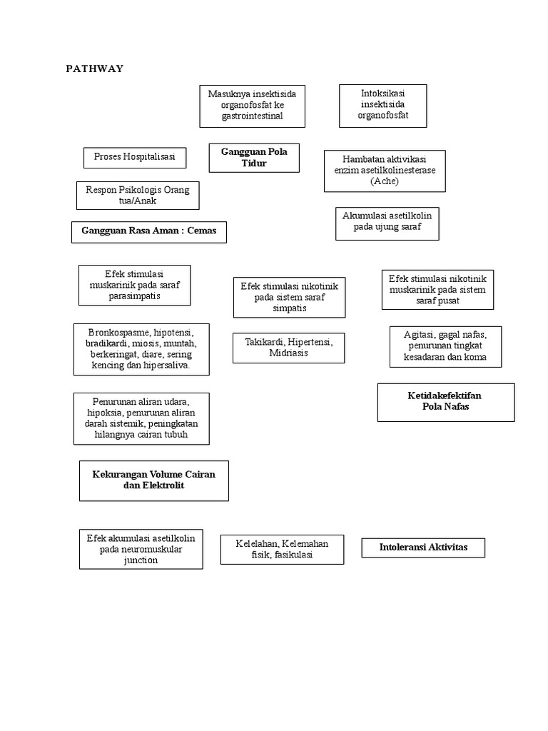 Pathway Intoksikasi Pdf