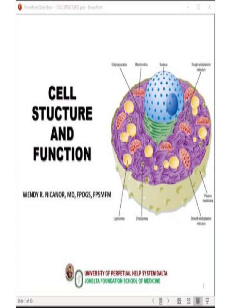 Cell Structure and Function | PDF