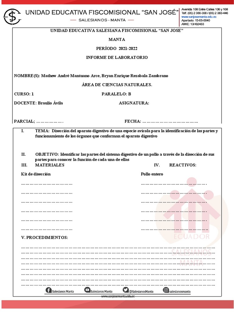 Practica B. Diseccion Aparato Digestivo Pollo | PDF | Science