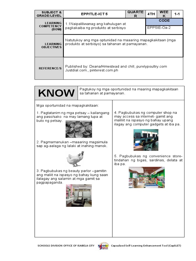 Epp Ict-5 Week 1, Day 1 | PDF