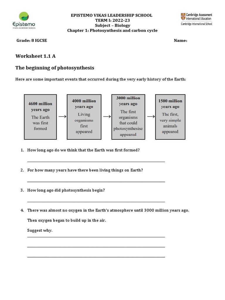 Unit 1 - Photosynthesis and Carbon Cycle - WS 1 | PDF | Photosynthesis ...