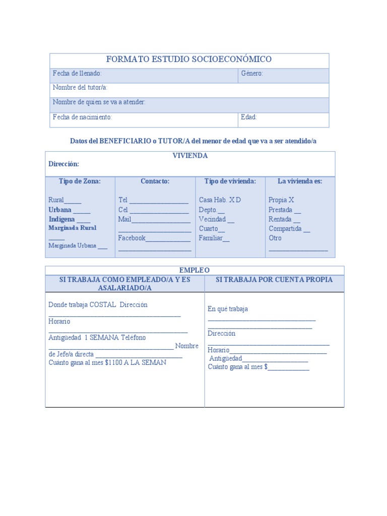 Formato Estudio Socioeconómico | PDF