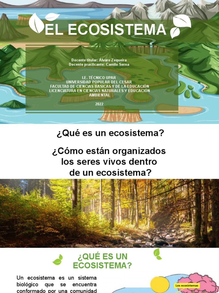 Ecosistema Diapositiva | PDF | Ecosistema | Habitat