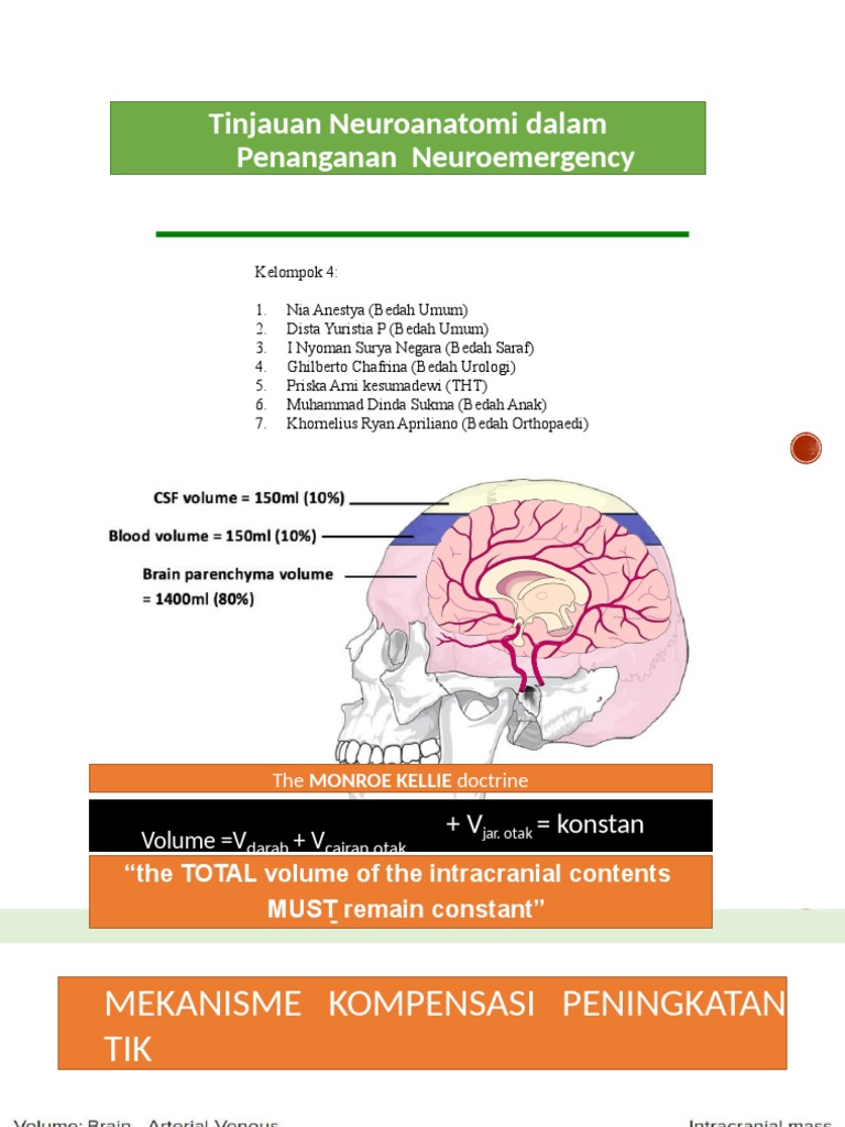 Aplikasi Neuroanatomi Dalam Penanganan Neuroemergency | PDF