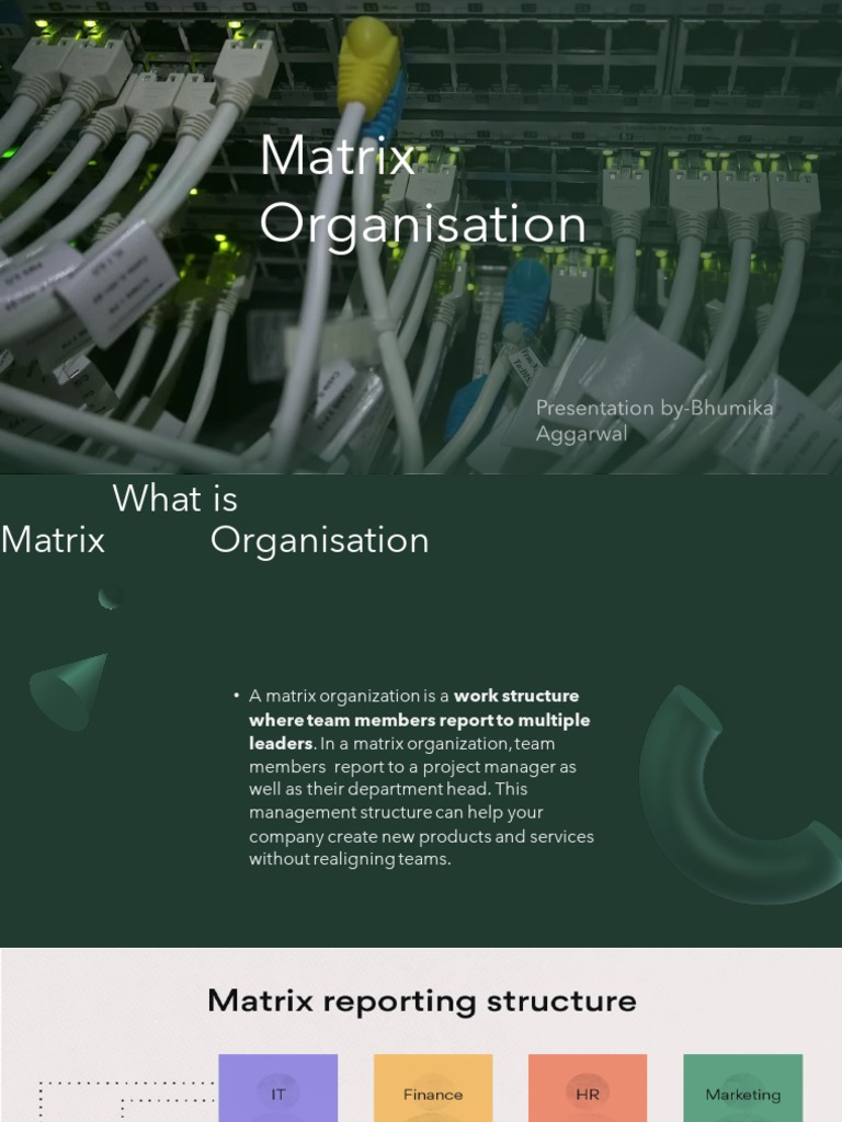 Matrix Organisation | PDF | Matrix (Mathematics) | Business