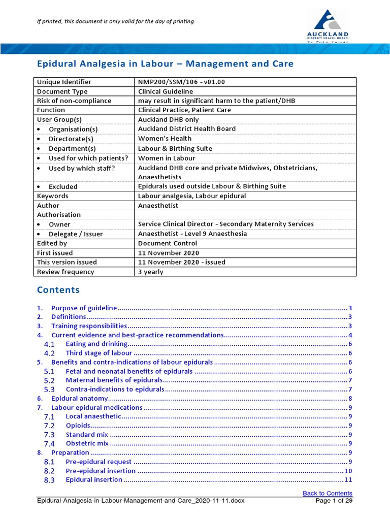 Epidural Analgesia in Labour Management and Care | PDF | Childbirth ...
