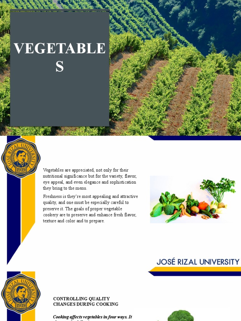 Vegetables | PDF