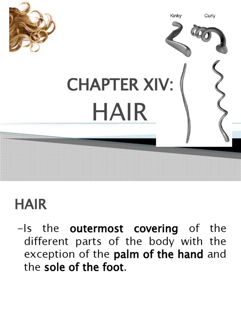 Chapter 14 Hair | PDF | Science & Mathematics | Young Adult