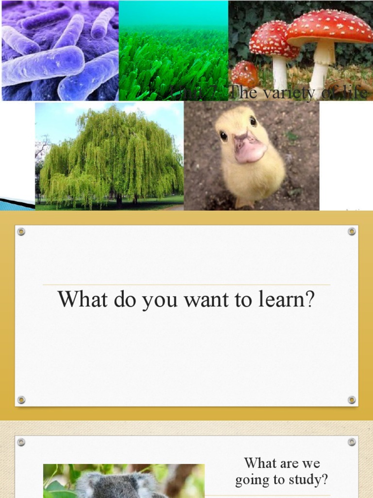 Unit 7.VARIETY OF LIFE | PDF | Cell (Biology) | Fungus