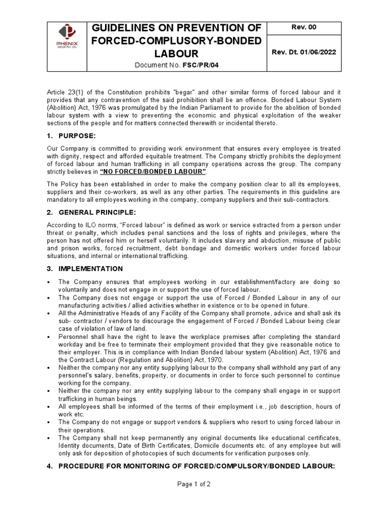 Guidelines on Preventing Forced Labour | PDF | Employment | Human ...