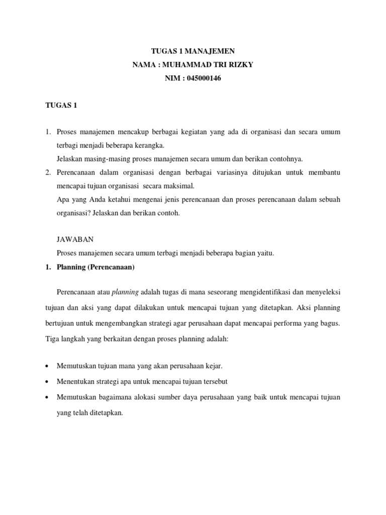 Planning And Organizing For Success PDF