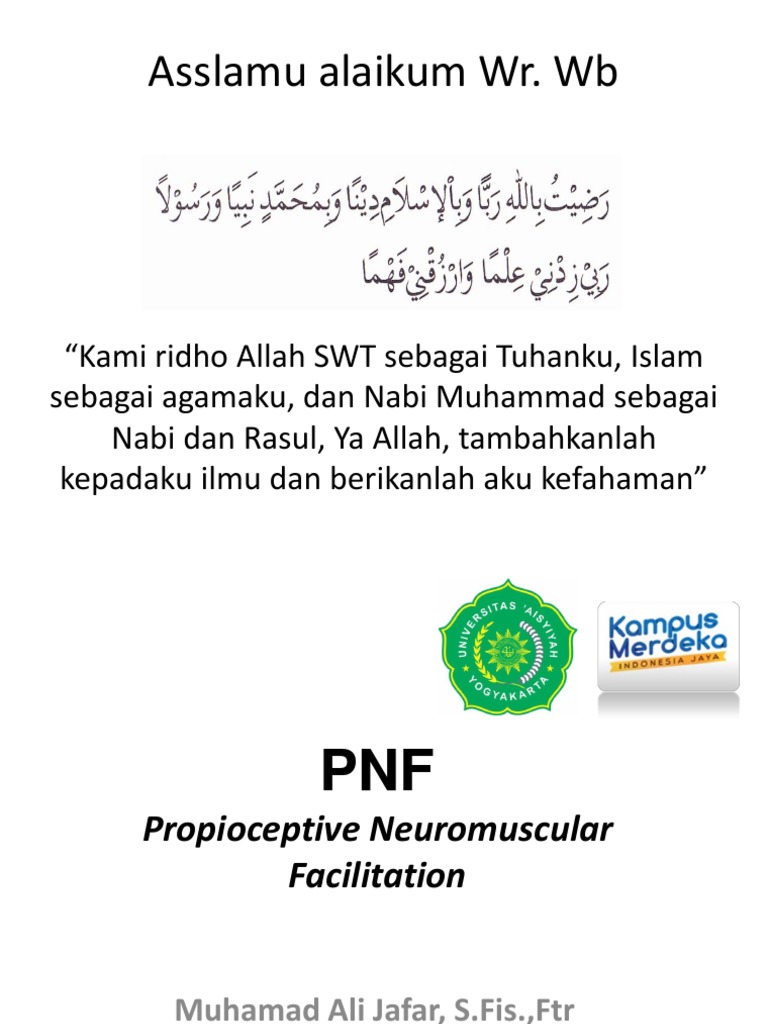 PNF - PPTX SL 3 | PDF