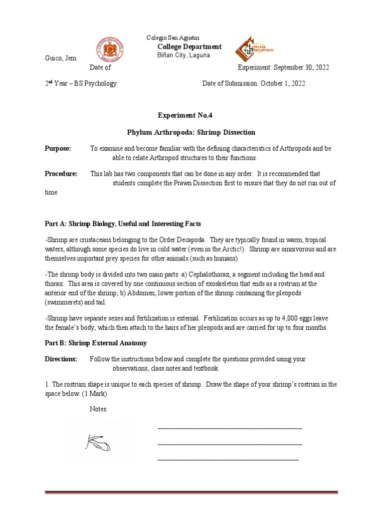 Guico - Shrimp Dissection (Exp 4) | PDF | Shrimp | Anatomy