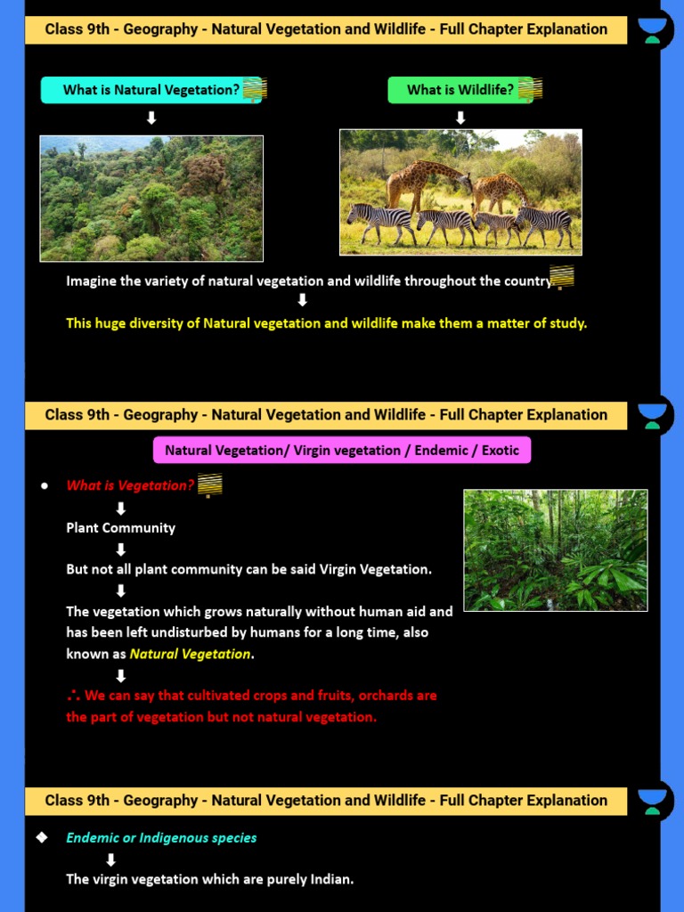 Natural Vegetation and Wildlife Overview | PDF | Forests | Climate