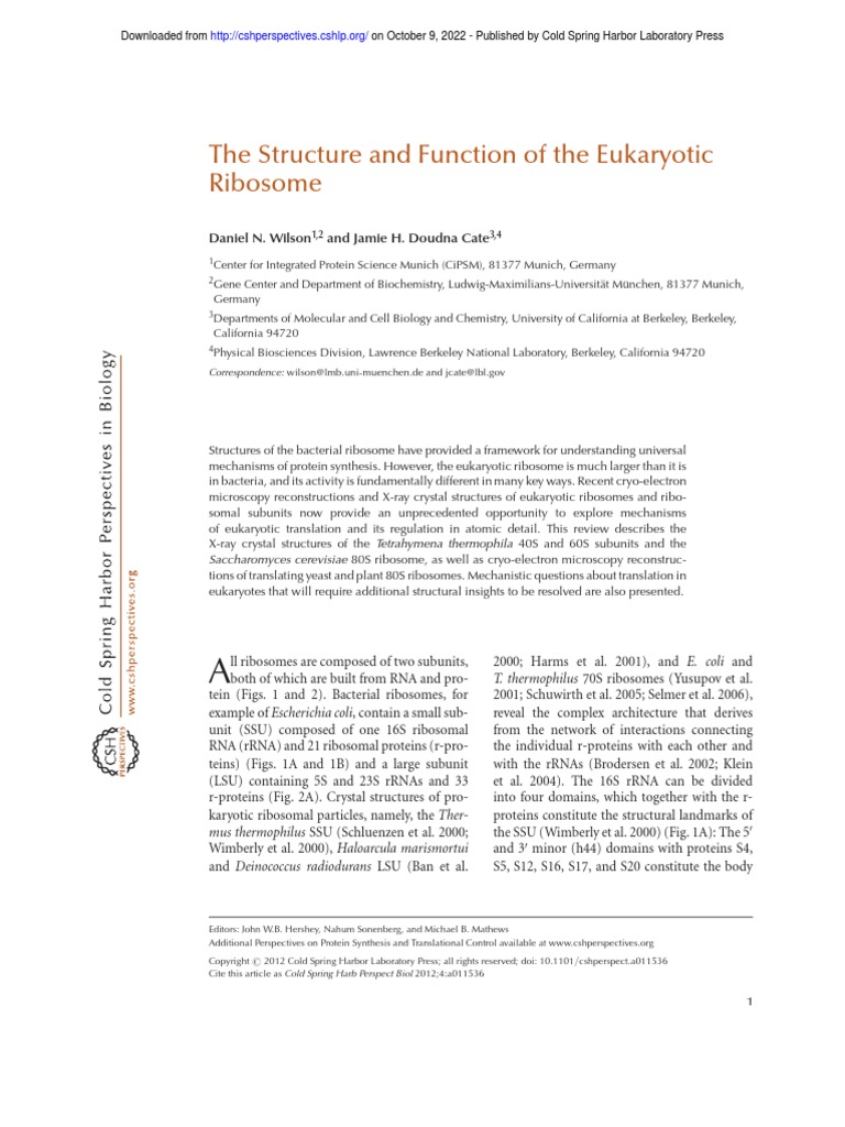 Ribosom Function Descargar Gratis Pdf Ribosomal Rna Ribosome