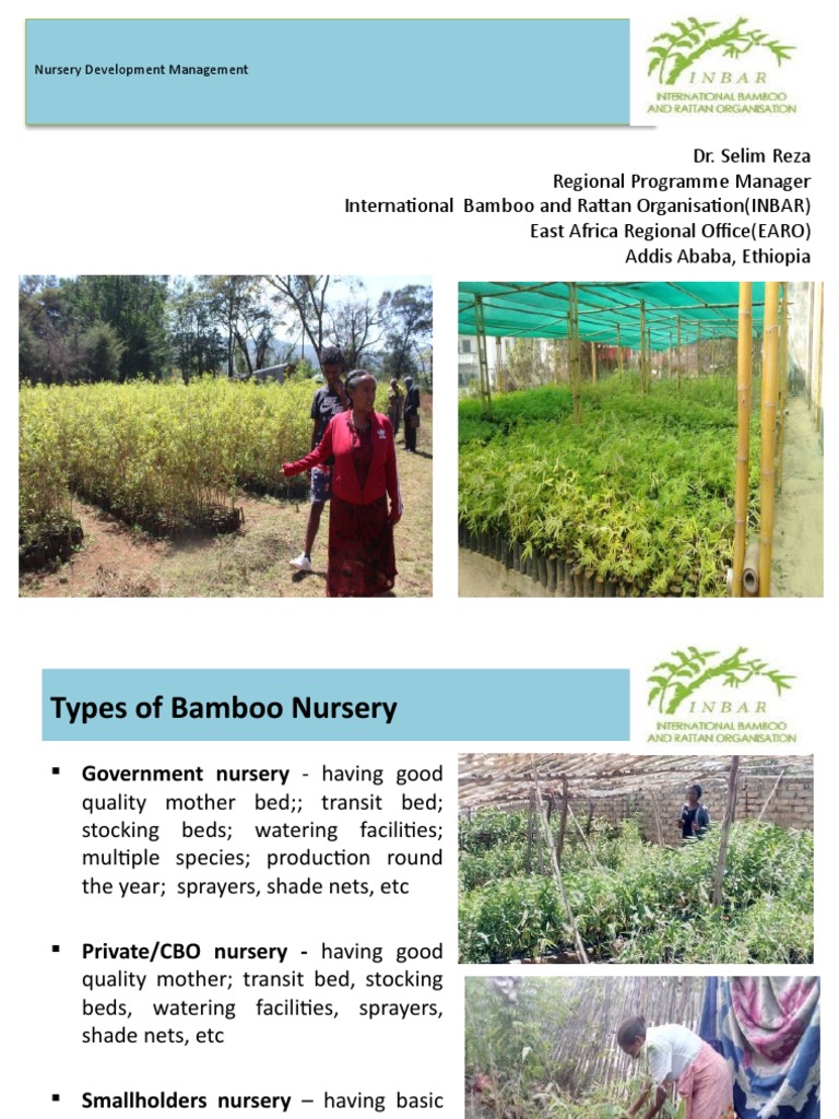 Selim - ToT - Nursery Management | PDF | Plant Nursery | Root