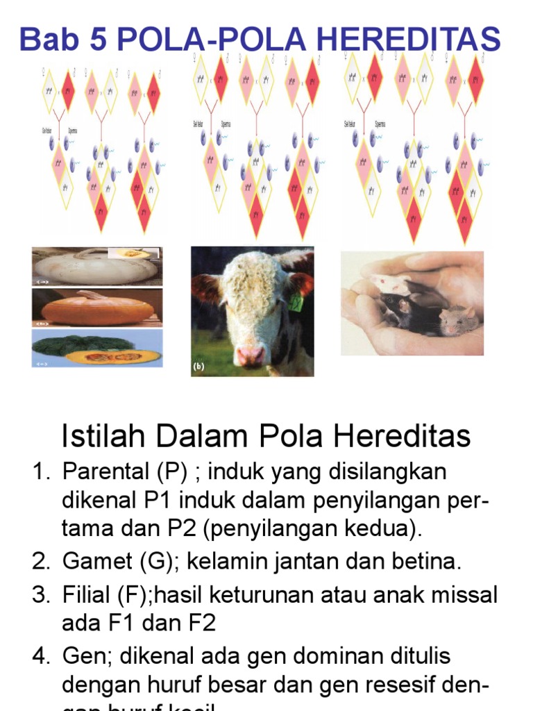 Bab 5 Pola Pola Hereditas 2019 | PDF | Seni & Disiplin Bahasa | Kesehatan Holistik