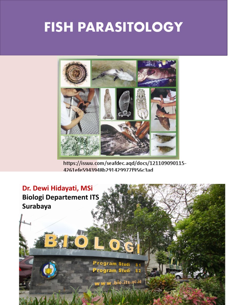 Fish Parasitology - Dewi Hidayati TAU - ITS18july 2022 | PDF ...