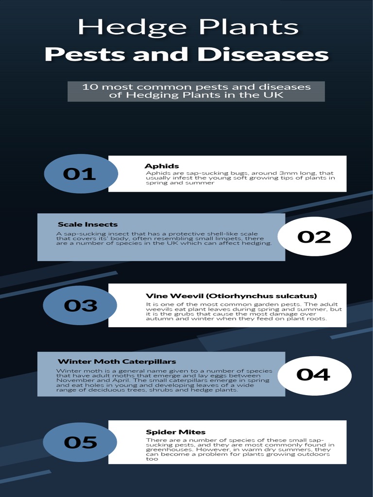 10 Most Common Pests and Diseases of Hedging Plants in The UK | PDF ...