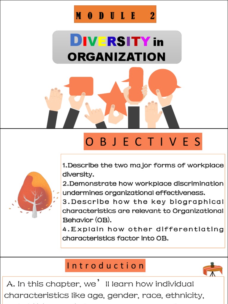 Diversity in Organizational Behavior | PDF | Disability | Stereotypes