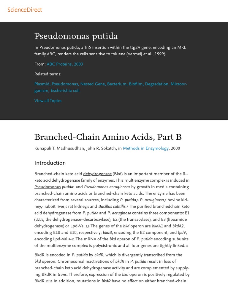 Pseudomonas Putida | PDF | Bacteria | Reactive Oxygen Species
