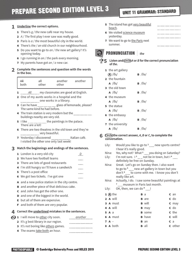 PREPARE 3 Grammar Standard Unit 11 | PDF