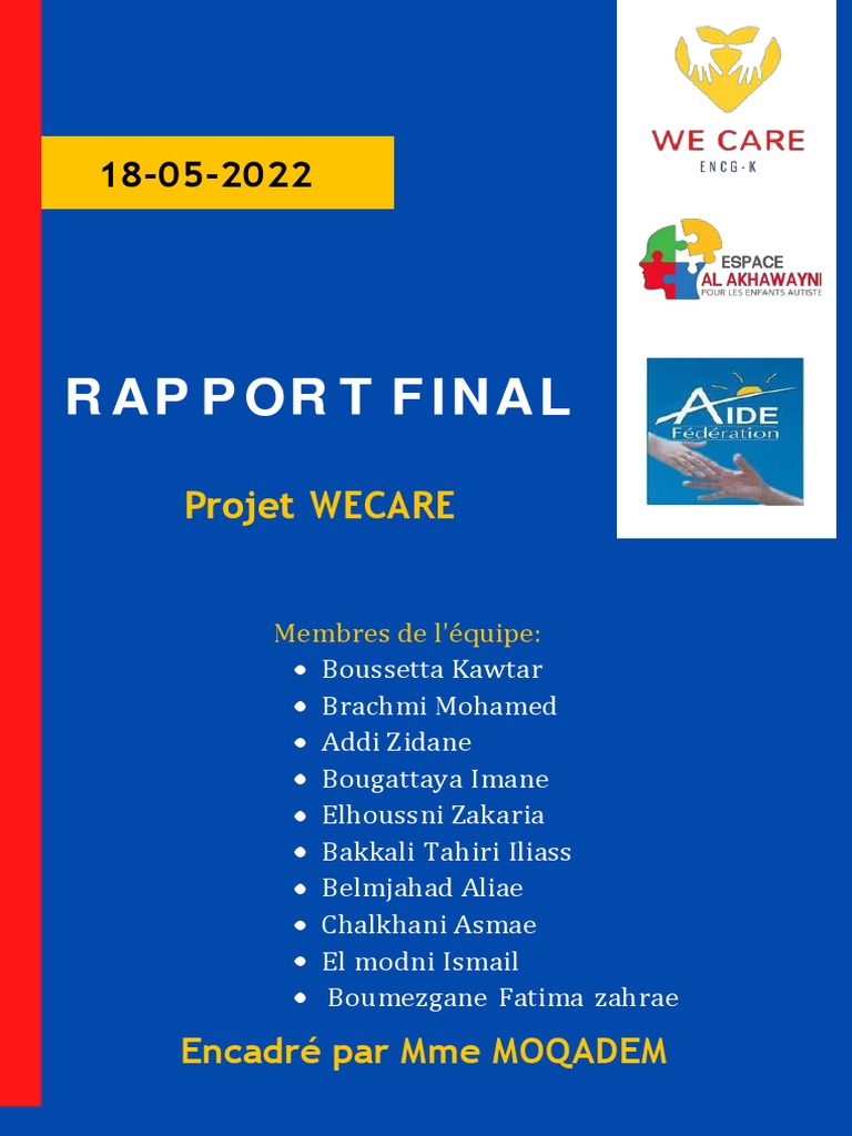 Rapport Final | PDF | Autisme | Réseaux sociaux