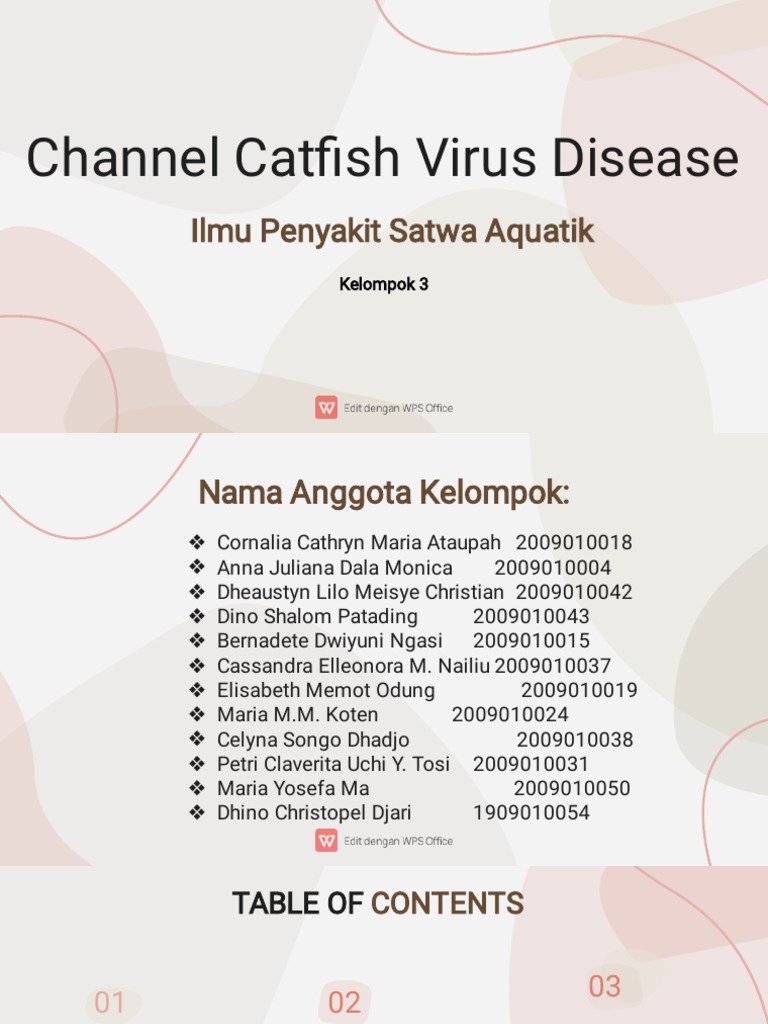 IPSA - KEL 3 - Channel Catfish Virus Disease | PDF