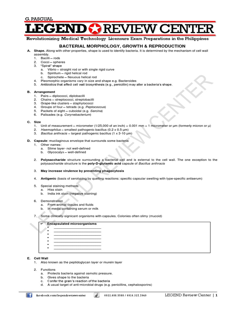 Bacterial Morphology, Growth & Reproduction - Free Notes | PDF | Gram ...