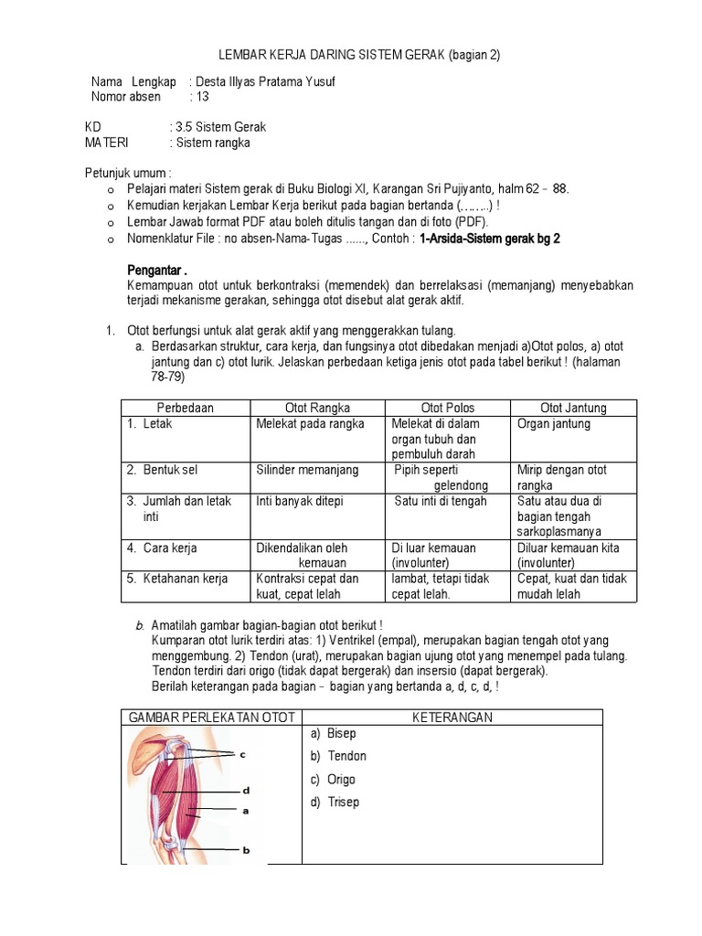 LK KELAS XI IPA - Sistem Gerak - BG 2 | PDF | Sains & Matematika