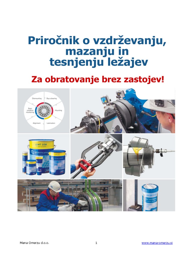 Osnove Vzdrzevanja Lezajev | PDF