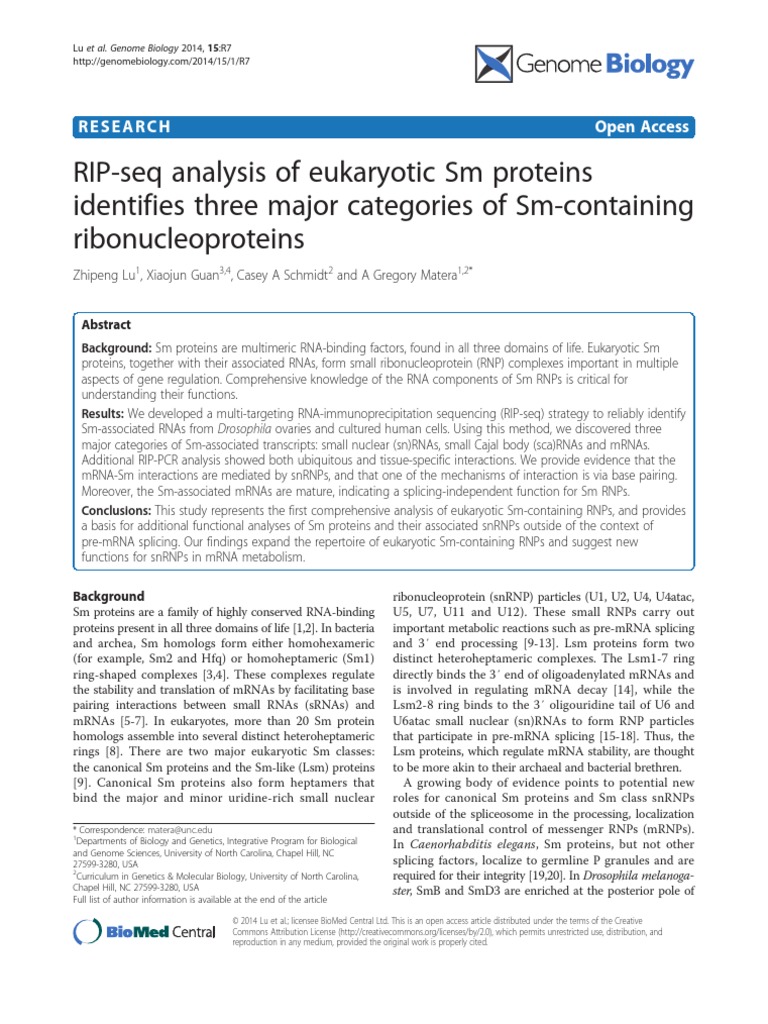 RIP-seq Analysis of Eukaryotic SM Proteins Identifies Three Major ...