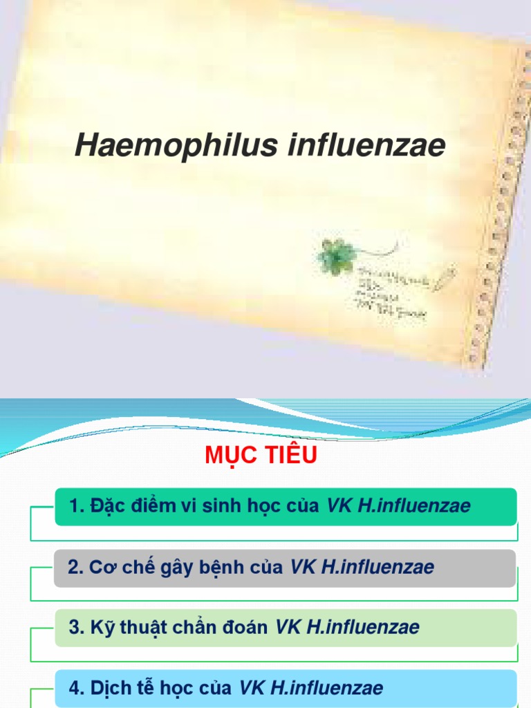 VK - HI .PPT - Autosaved | PDF