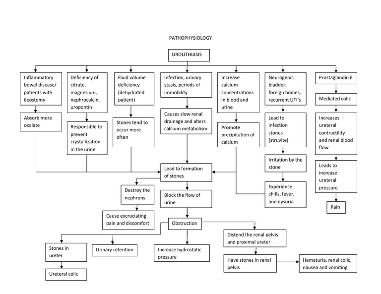 Pathophysiology of Urolithiasis | PDF | Cooking, Food & Wine