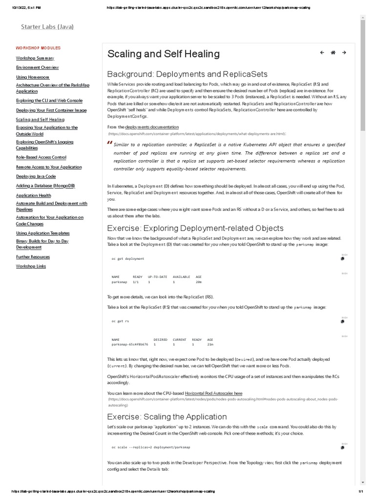 Scalling and Self Healing Openshift | PDF | Information Age | Computer Engineering