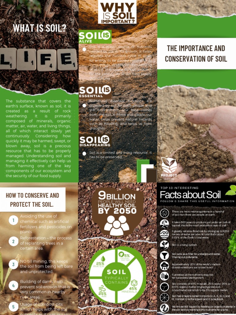 Green White Torn Travel Trifold Brochure | PDF