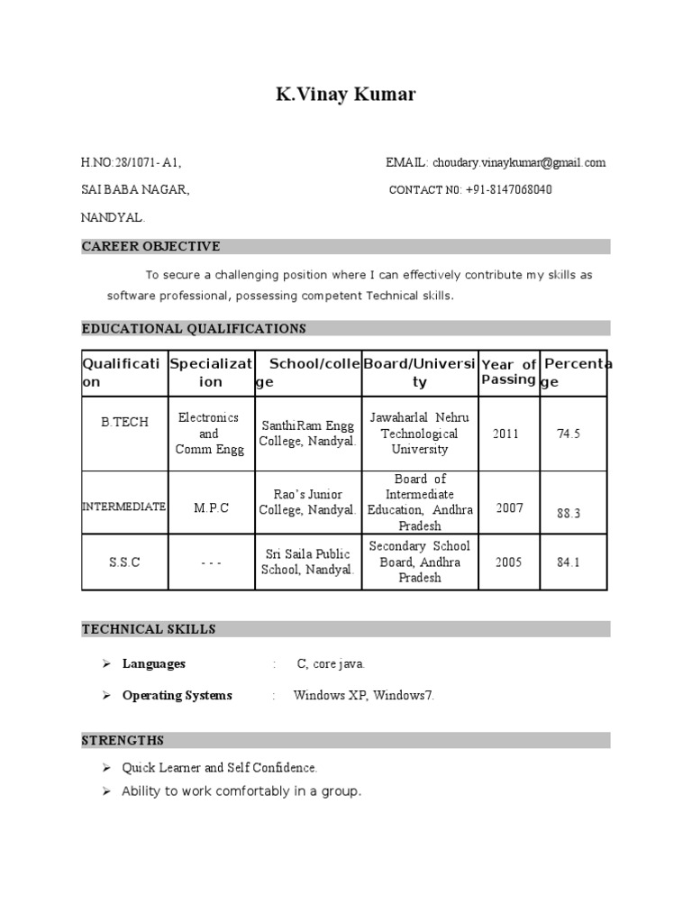 Vinay Resume | PDF
