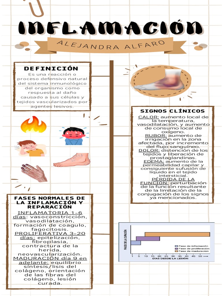 Inflamación Infografía | PDF | Inflamación | Especialidades Medicas