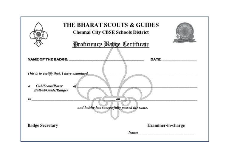 09 - Scout Certificate | PDF | Career & Growth