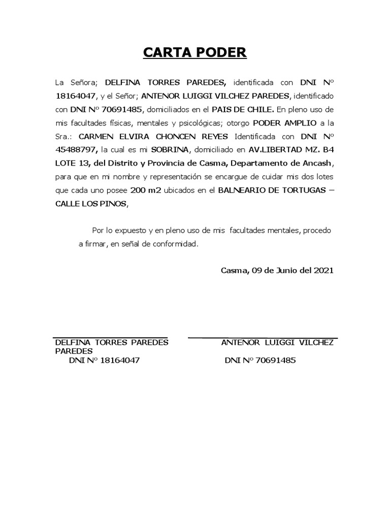 Carta Poder Simple Dos | PDF | Derecho