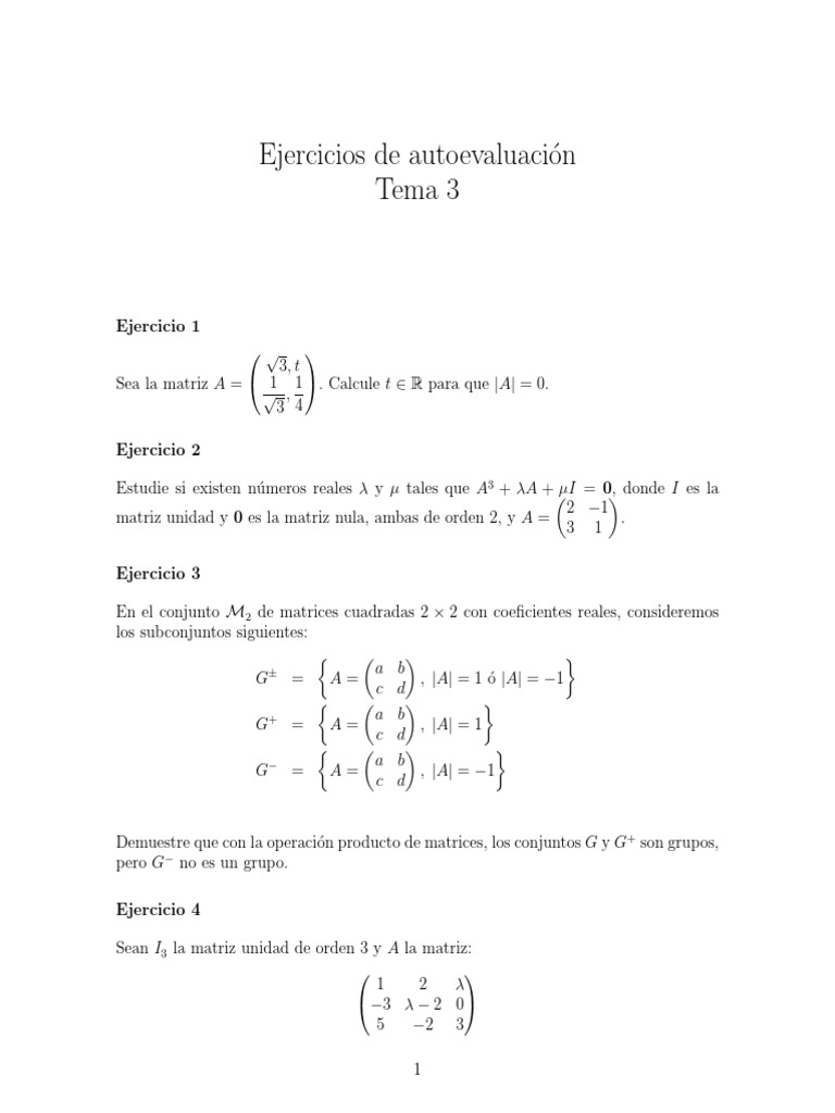 Ejercicios de Autoevaluación Tema 3 | PDF | Matriz (Matemáticas) | Álgebra