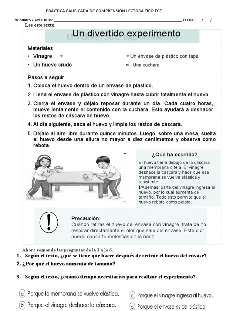 Practica Calificada de Comprensión Lectora Tipo Ece El Experimento | PDF | Huevo
