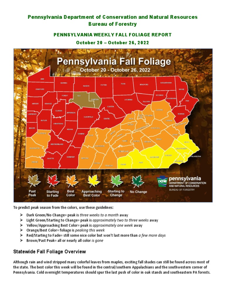 Week Four DCNR Fall Foliage Report 2022 | PDF | Trees | Plants